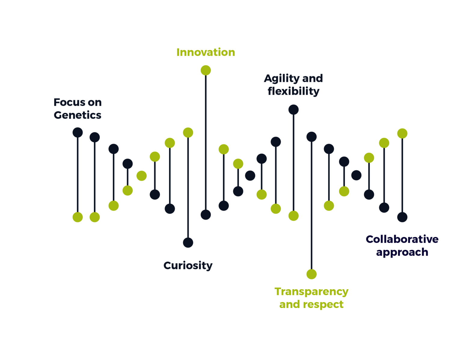 The team - GDM Seeds