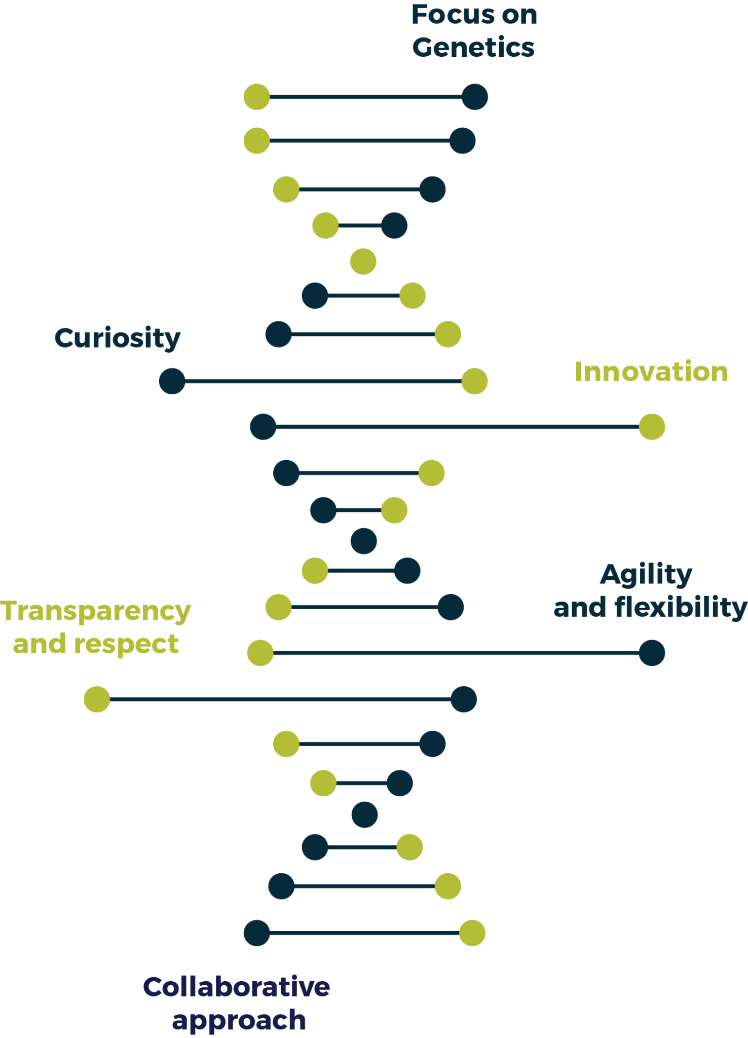 The team - GDM Seeds