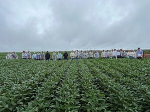 Novedades - GDM Seeds