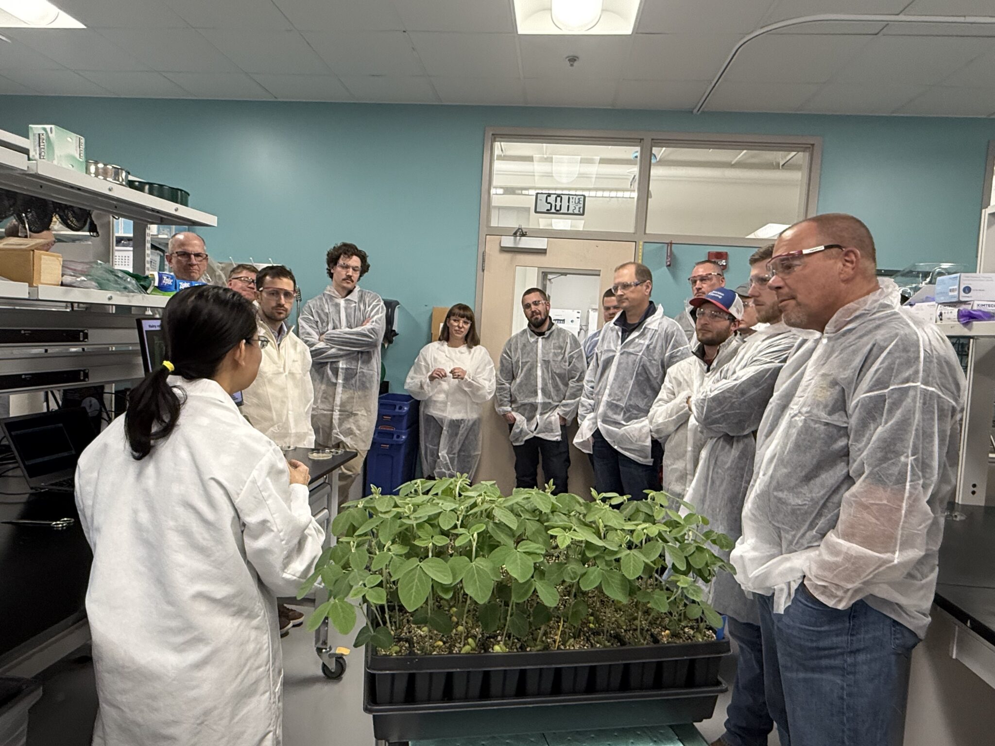 Homepage - GDM Seeds